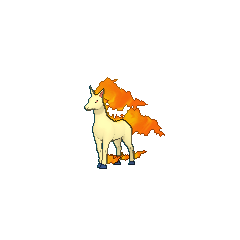 Rapidash — National Pokédex