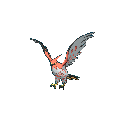 Talonflame — National Pokédex